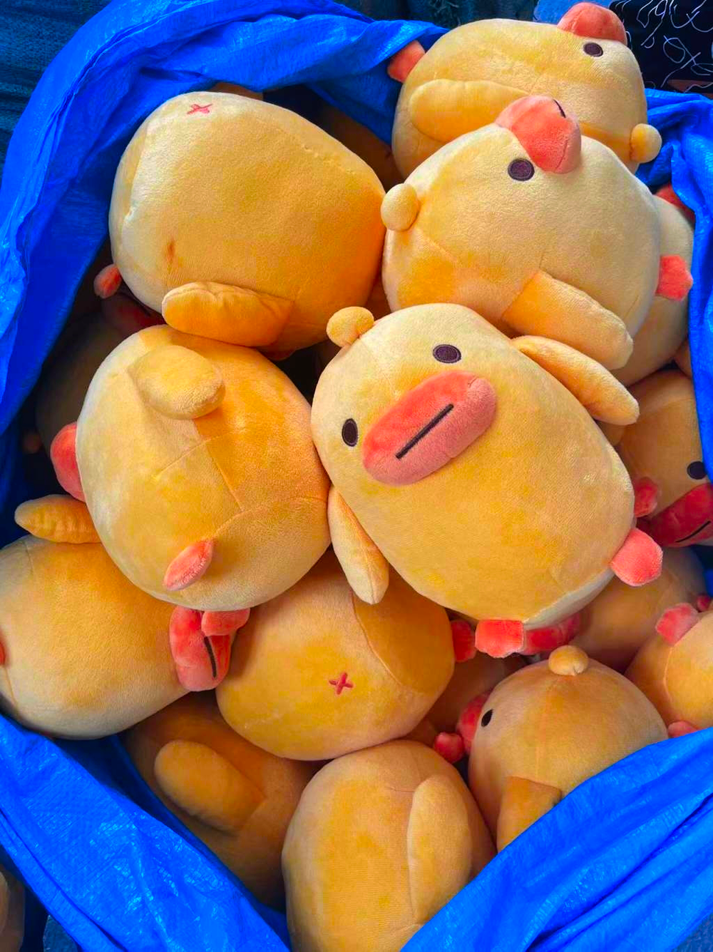 Gwok the Duck Plush – Studio Gooos