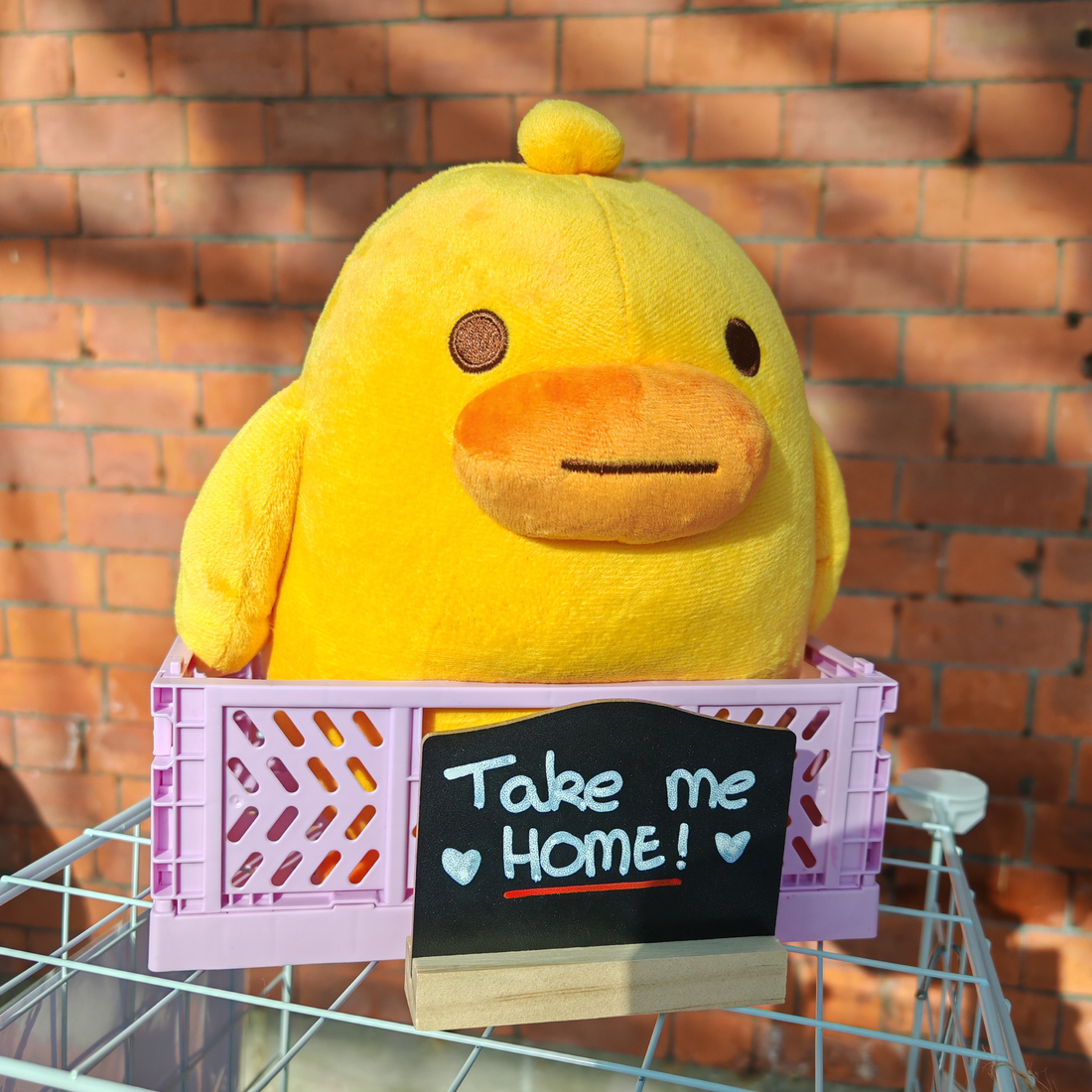 Gwok the Duck Plush – Studio Gooos
